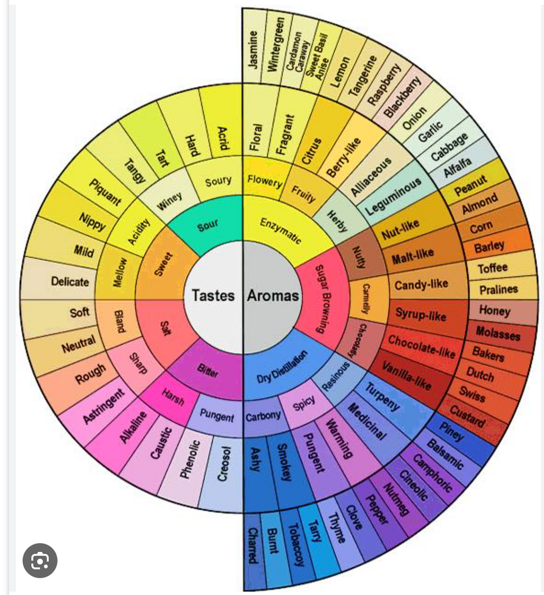 Exploring the Rich Tapestry of Coffee Flavor Notes – Model Citizen Coffee
